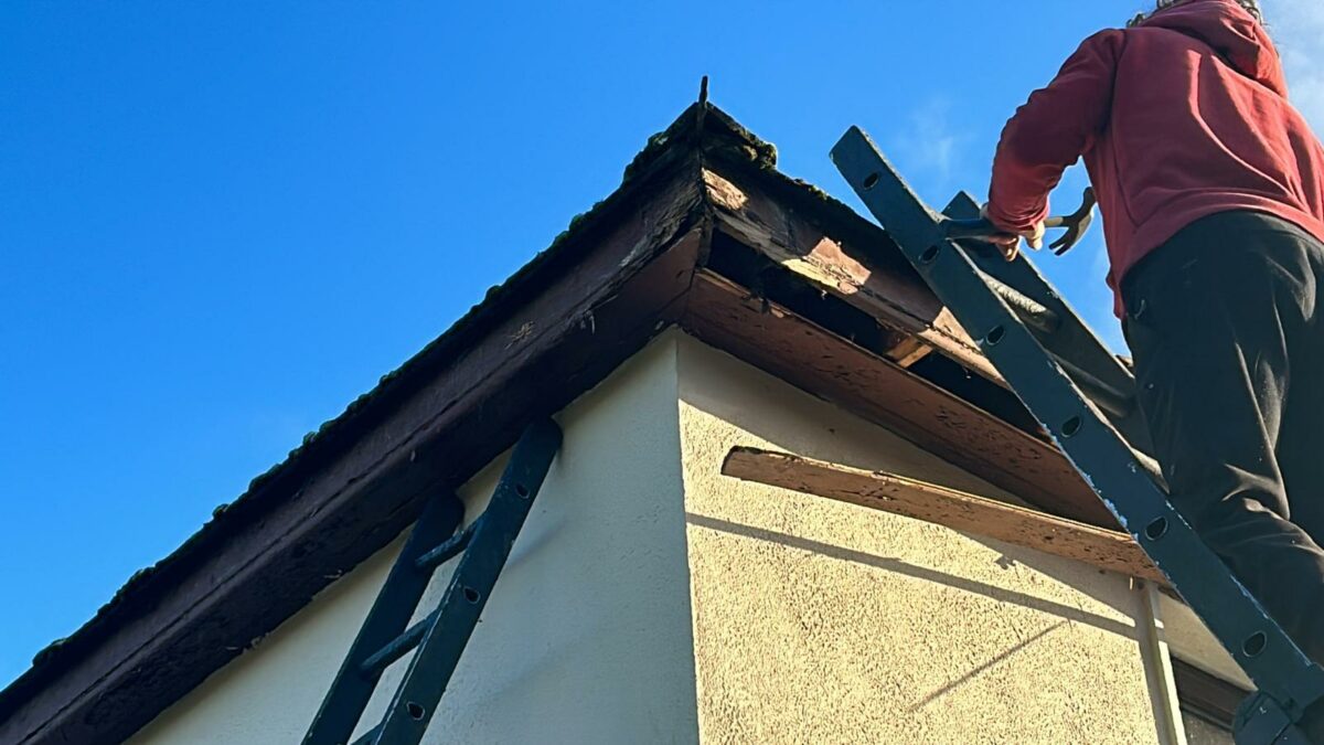 Gutters, Soffit & Fascia Cleaning Specialists Kildare | Free Estimates